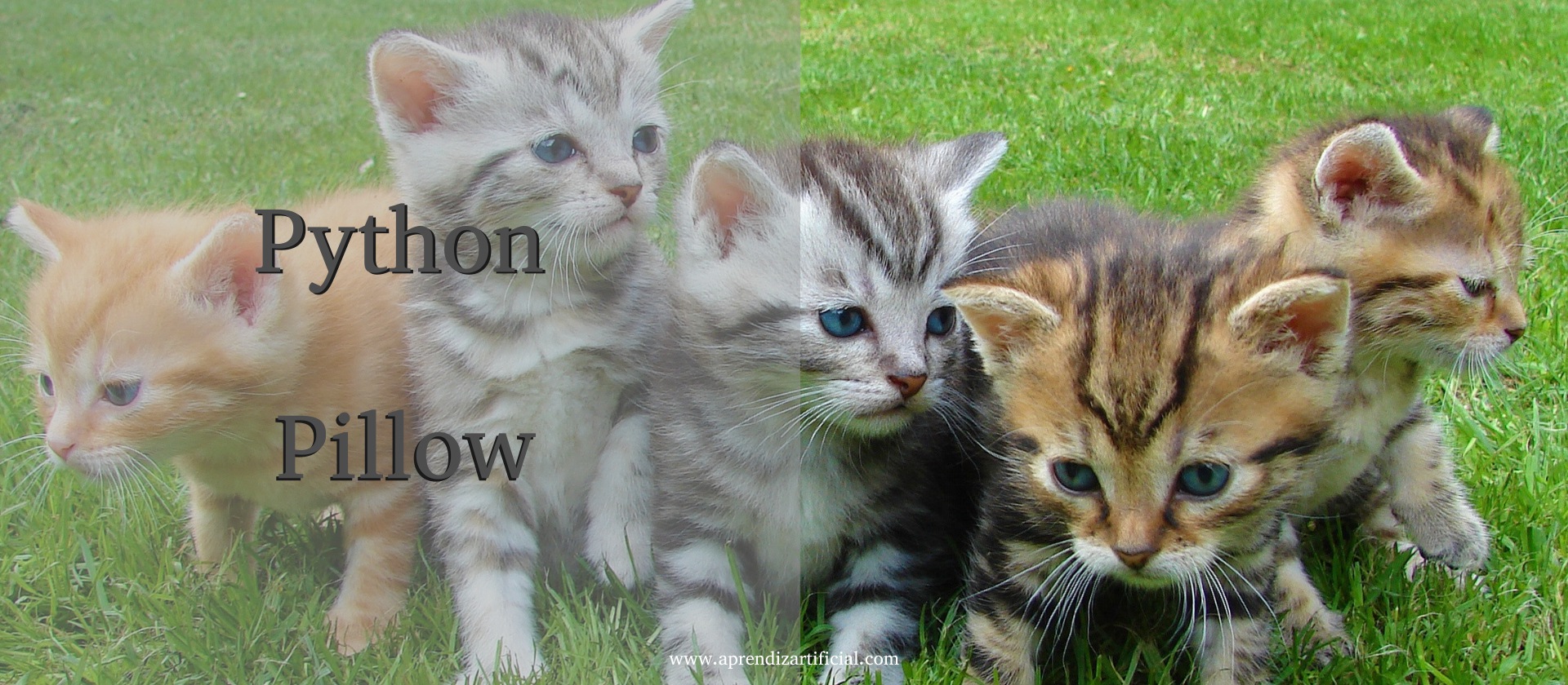 Processamento de Imagens com Pillow