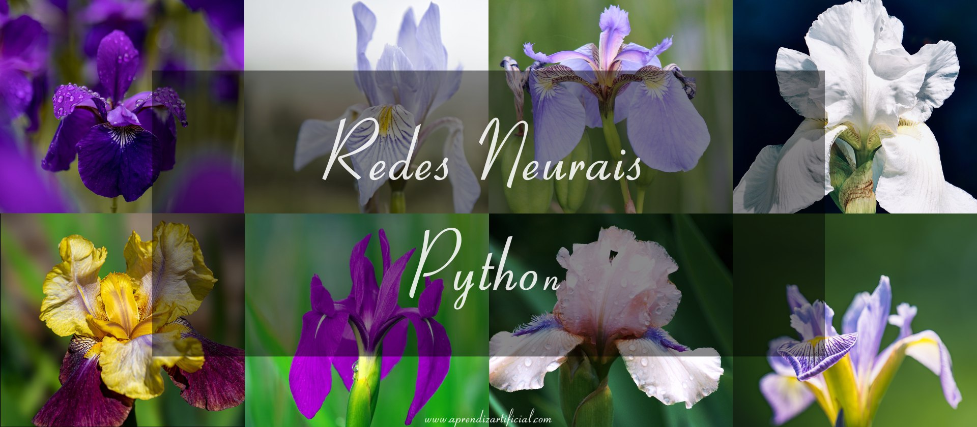 Construindo uma rede neural do zero